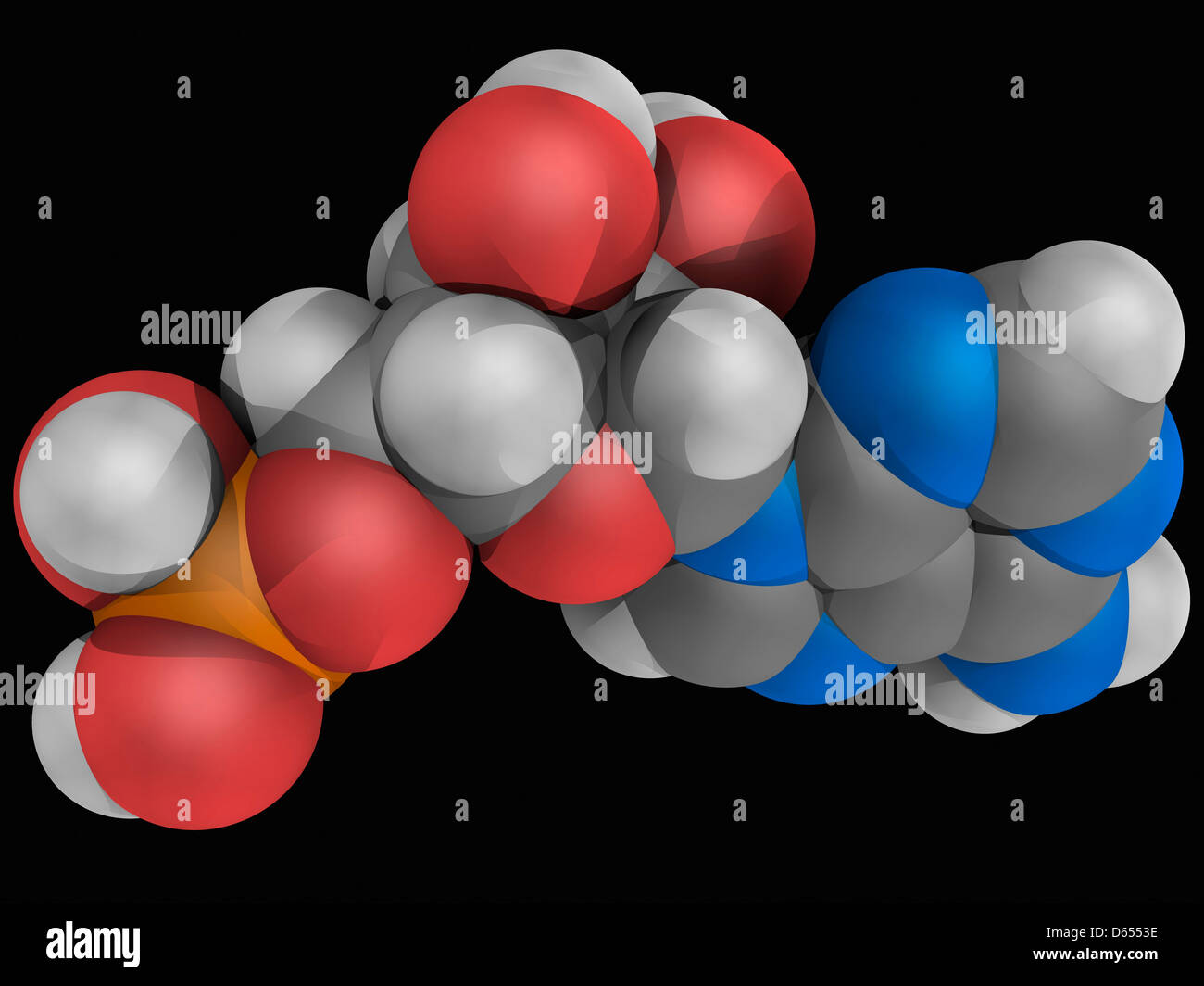 Adenosine monophosphate molecule Stock Photo - Alamy