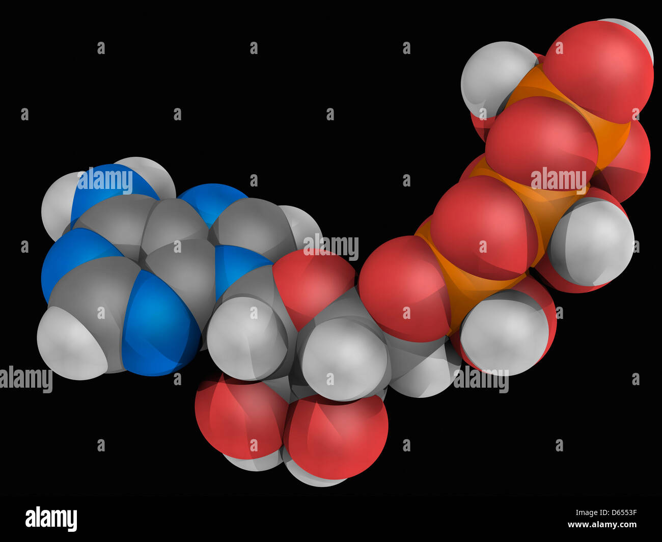 Atp Molecule High Resolution Stock Photography and Images - Alamy