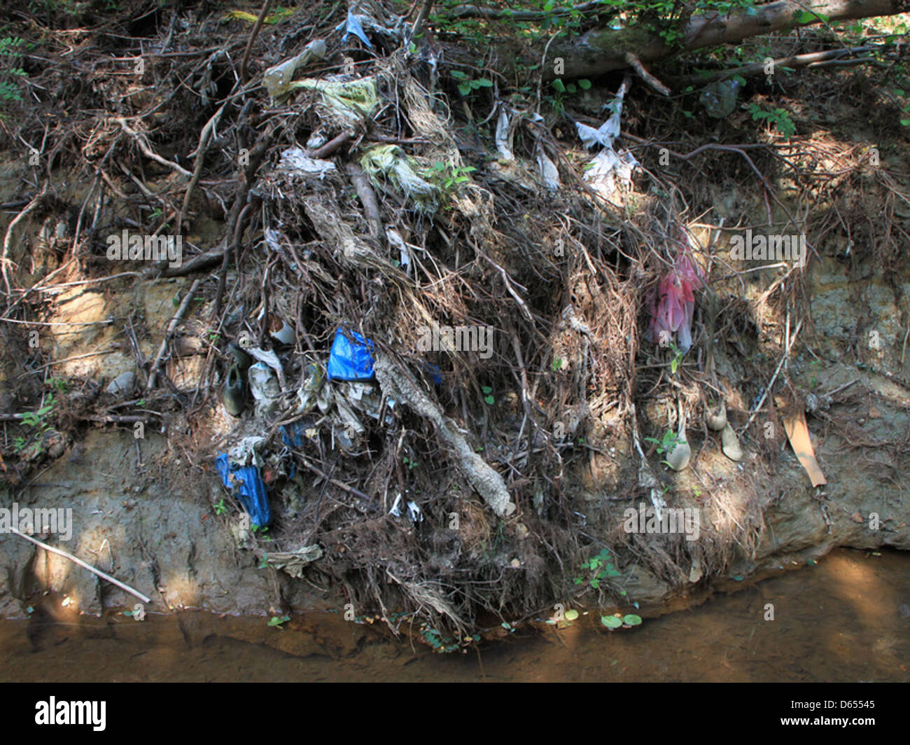 An image highlighting water pollution caused by garbage accumulation in ...