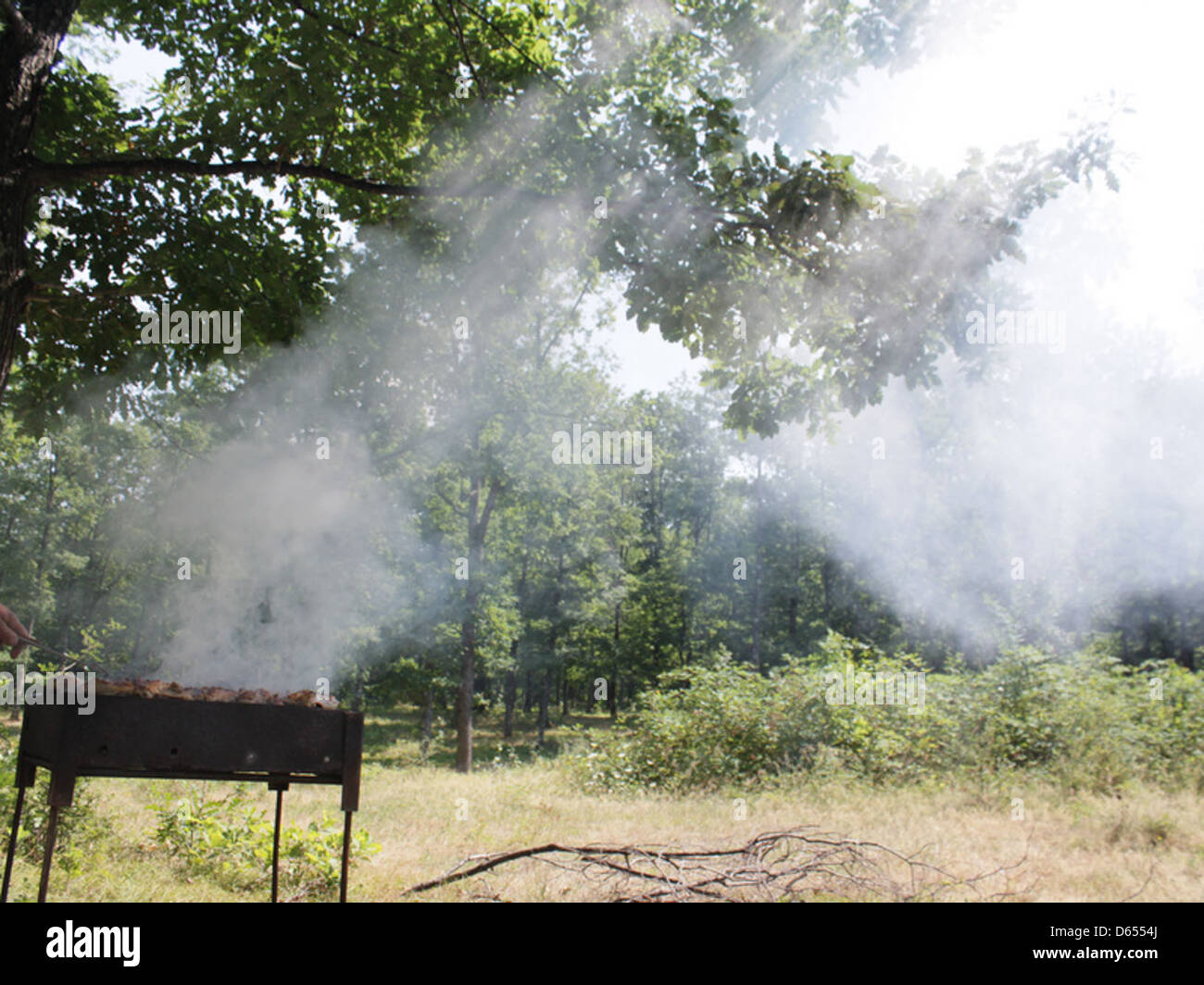 This image captures smoke rising from a barbecue set up in a forest ...