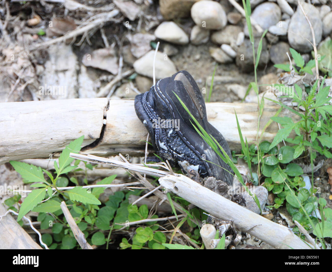 Thrown in the river hi-res stock photography and images - Alamy