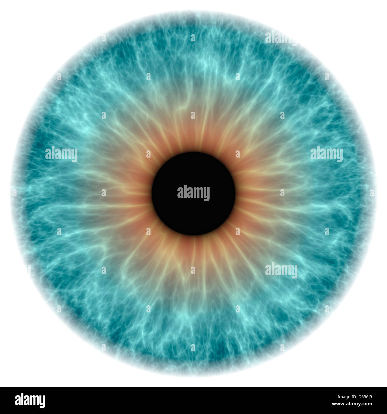 Grey eye, artwork Stock Photo - Alamy