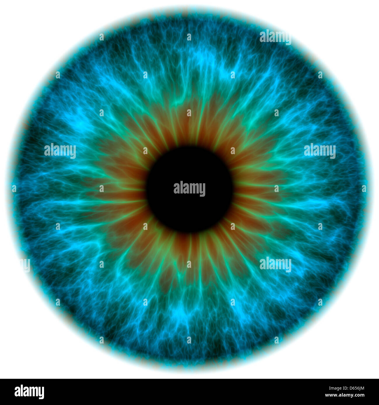 Blue eye hi-res stock photography and images - Alamy