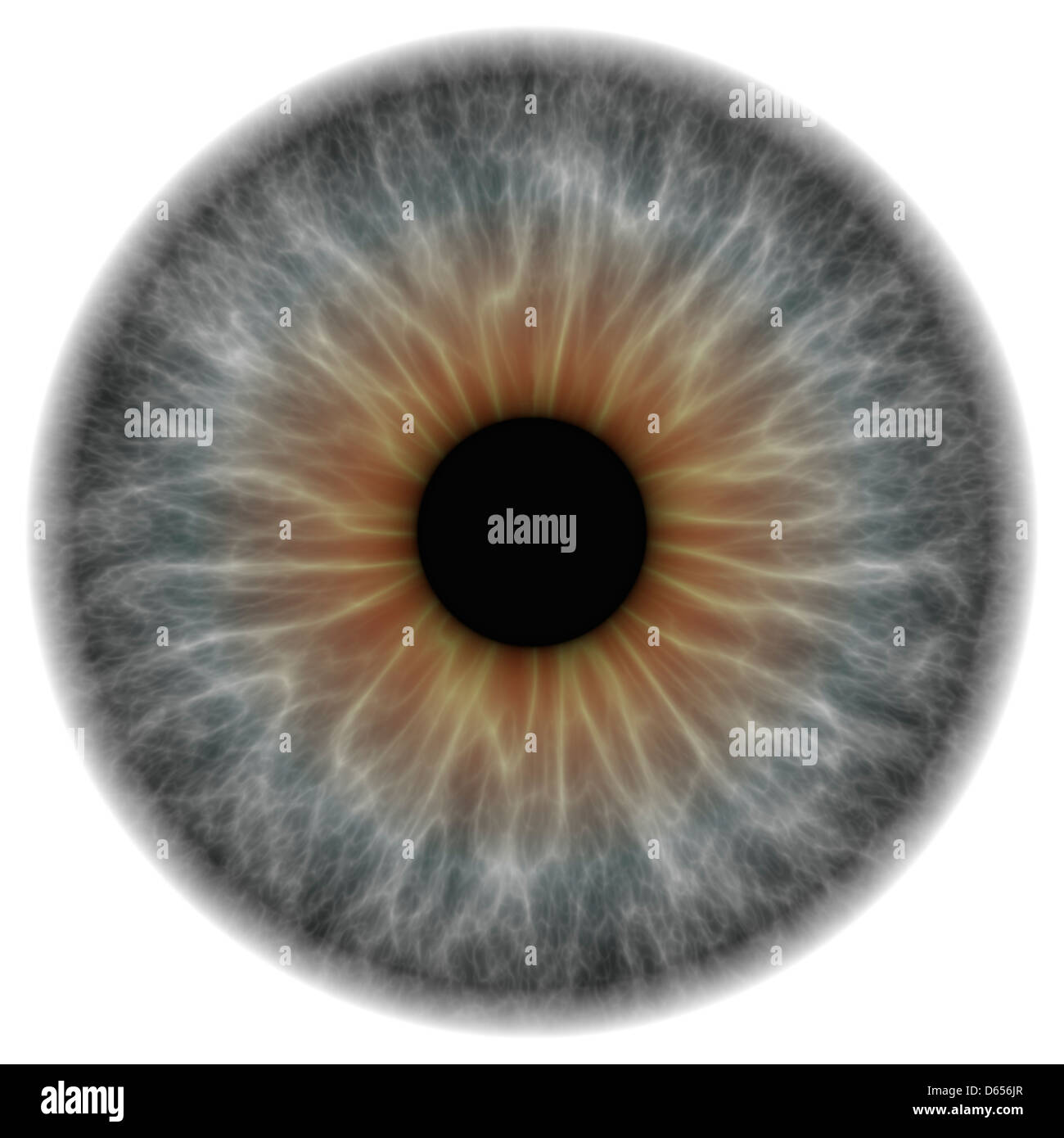 Grey eye, artwork Stock Photo - Alamy