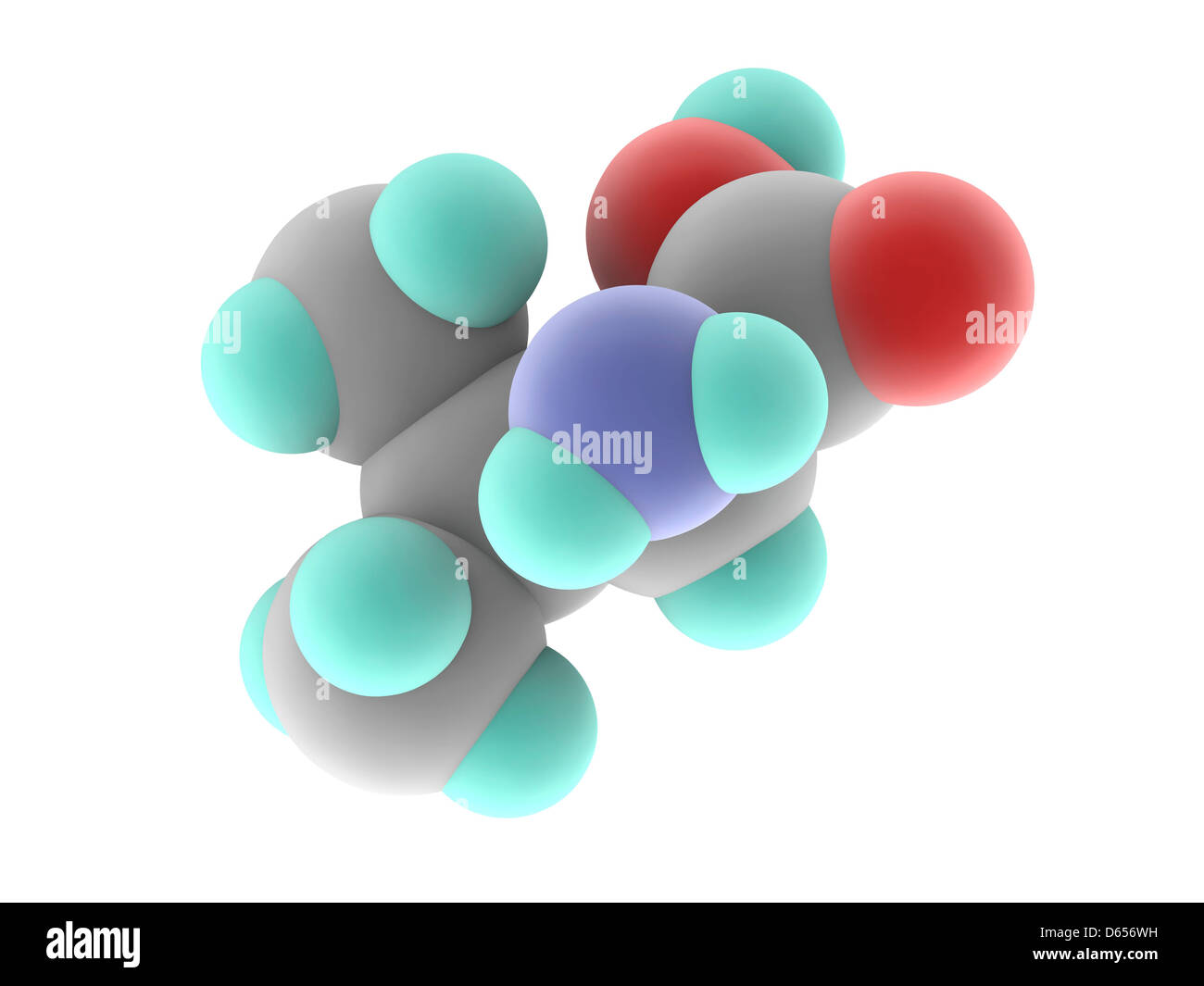 Valine hi-res stock photography and images - Alamy