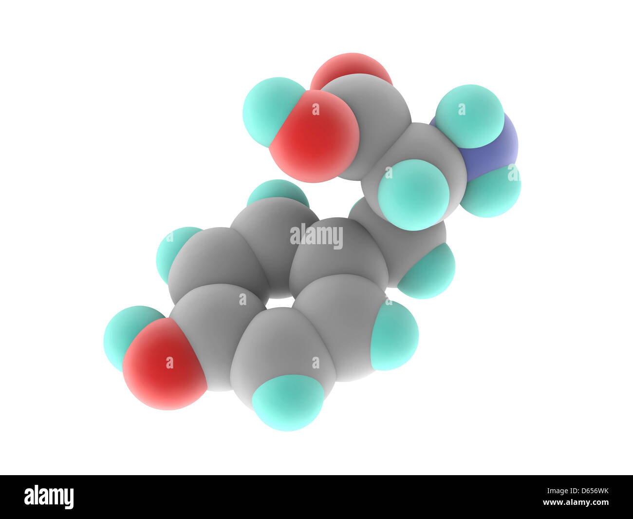Tyrosine amino acid molecule hi-res stock photography and images - Alamy