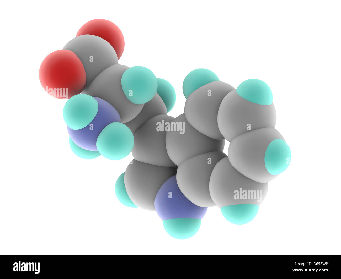 Tryptophan amino acid hi-res stock photography and images - Alamy