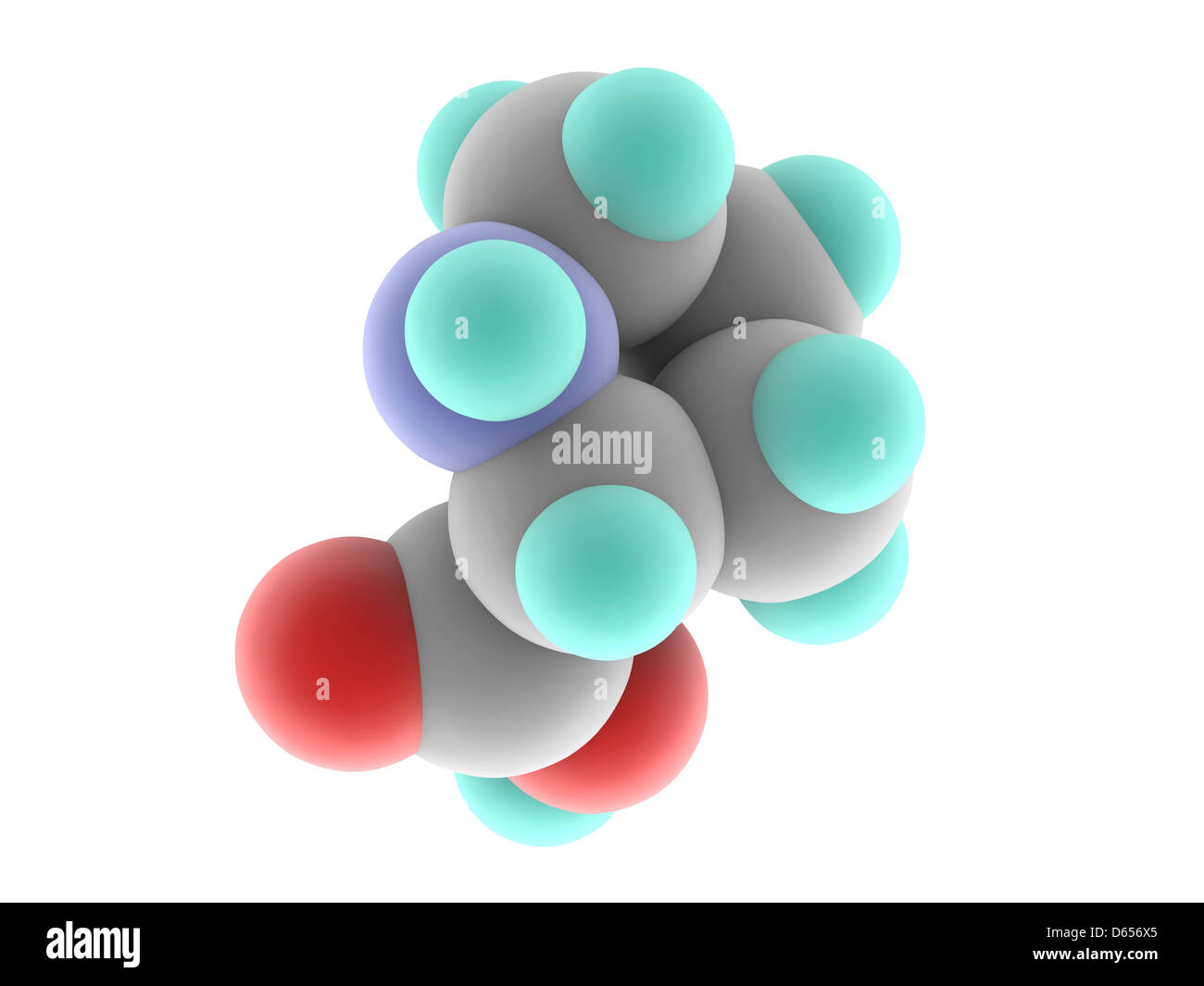 Proline amino acid molecule hi-res stock photography and images - Alamy