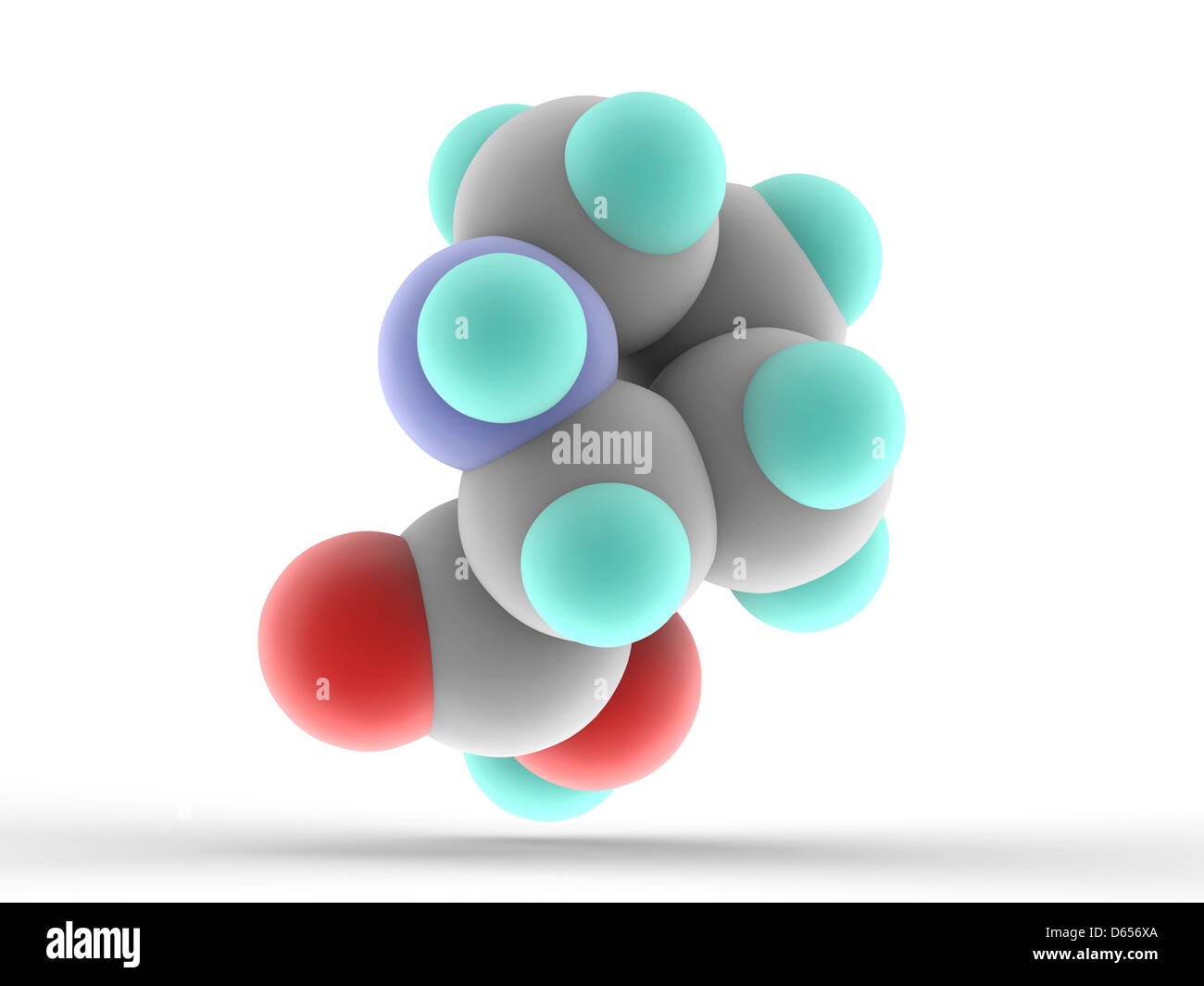 Proline hi-res stock photography and images - Alamy