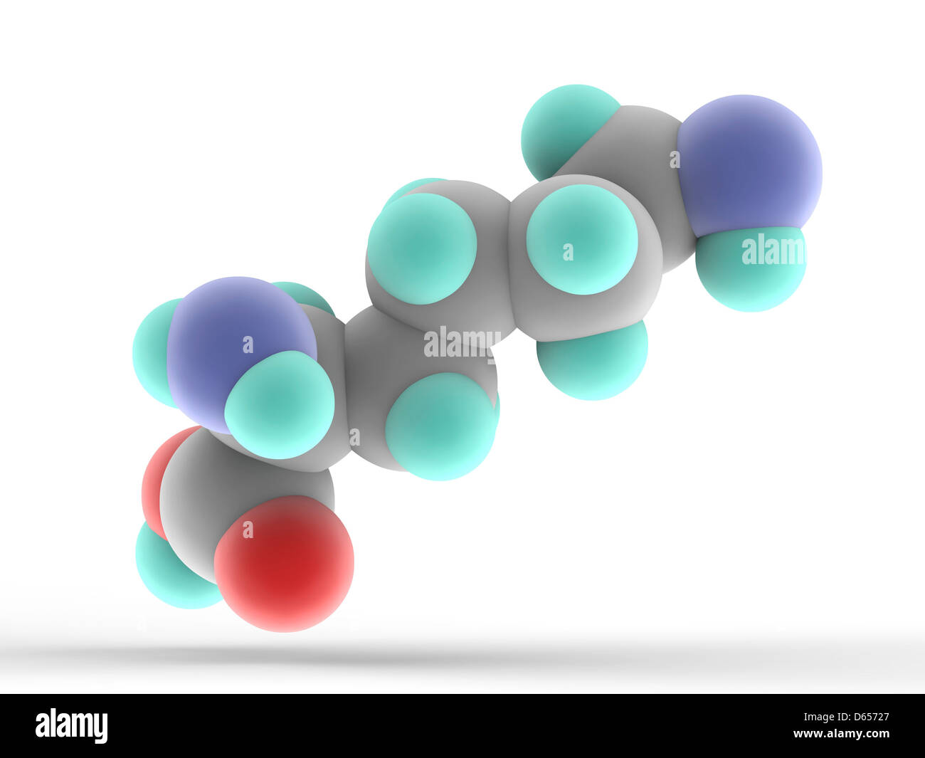 Lysine amino acid molecule hi-res stock photography and images - Alamy