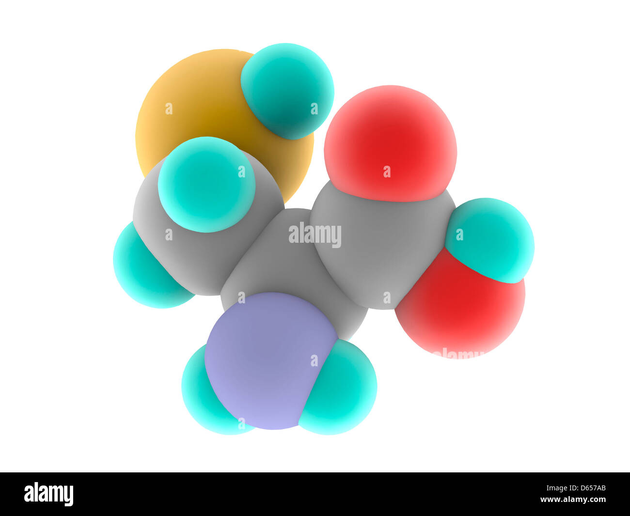 Cysteine amino acid molecule hi-res stock photography and images - Alamy