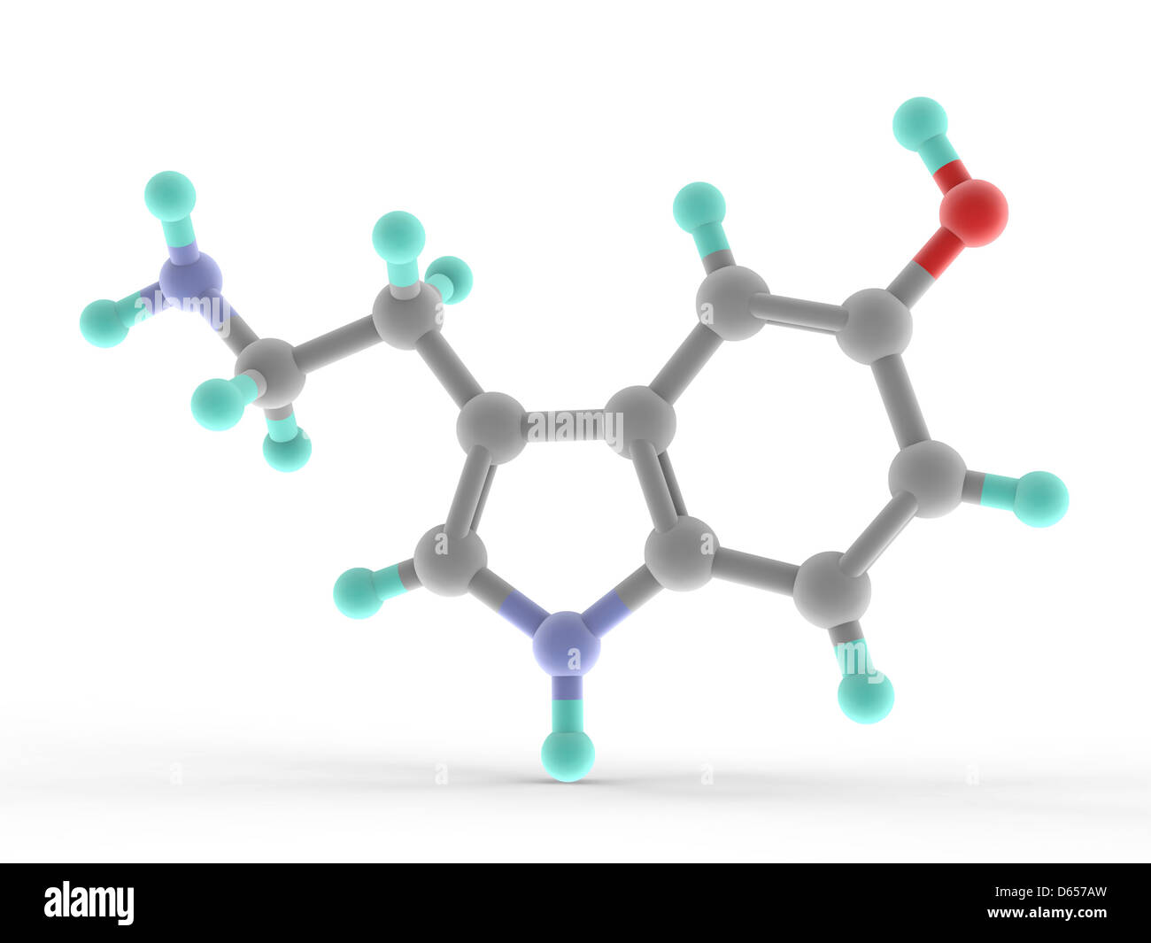 Serotonin Chemical Structure 3d