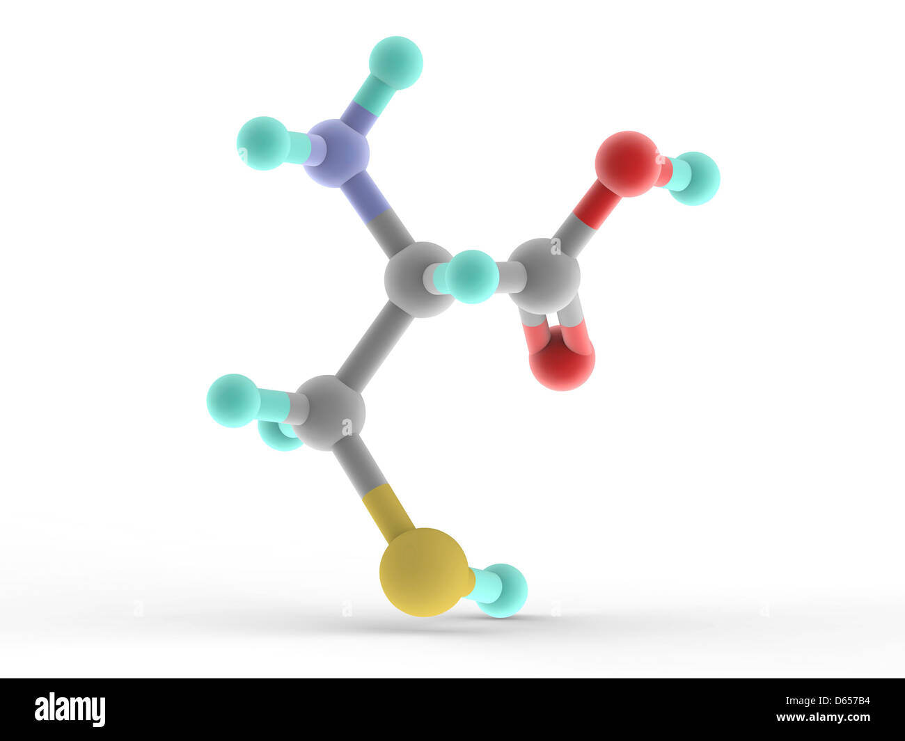 Cysteine amino acid molecule hi-res stock photography and images - Alamy