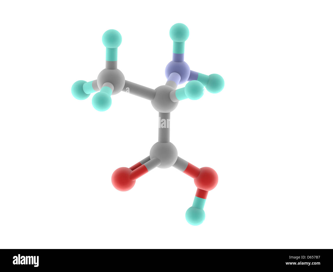 Non essential amino acid hi-res stock photography and images - Alamy