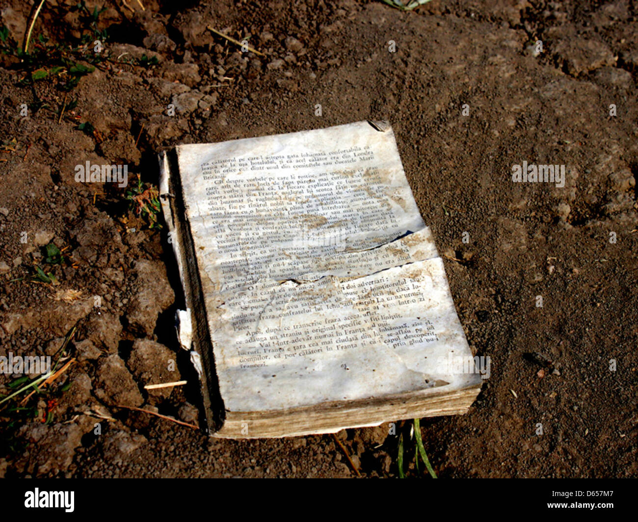 Damaged-Book-thrown-on-the-Road Dusty-old-book IMG 1486 Stock Photo - Alamy