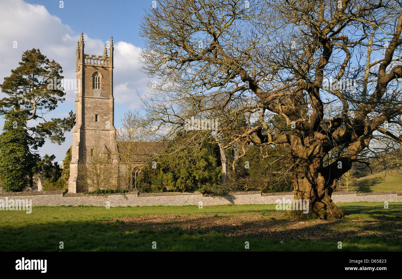 Tortworth chestnut gloucestershire hi-res stock photography and images ...