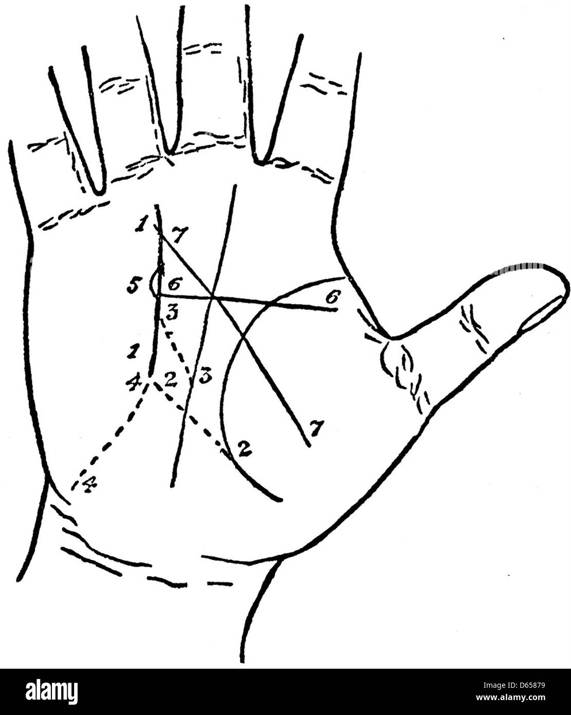A hand palmistry illustration from Cheiro, showcasing palm reading ...
