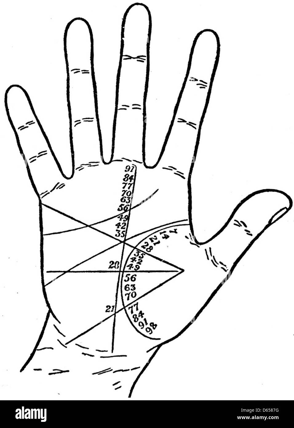 A 1916 illustration from Cheiro’s palmistry works, depicting the hand ...
