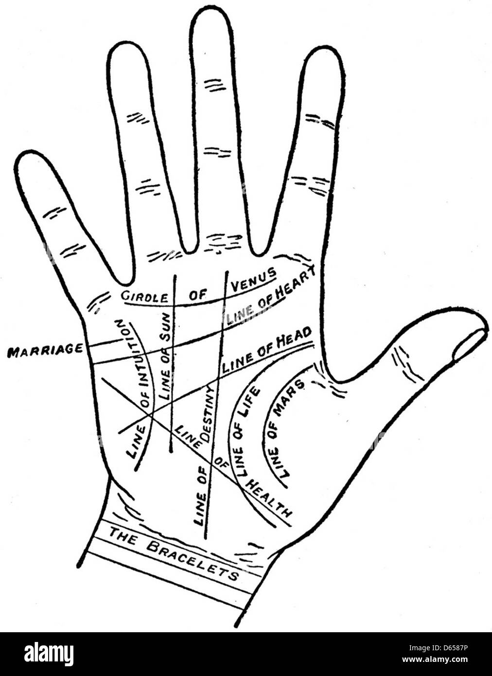 This image depicts a hand for palmistry, also known as palm reading, a ...