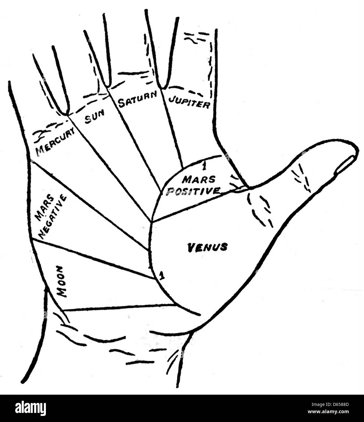 Palmistry lines hi-res stock photography and images - Alamy