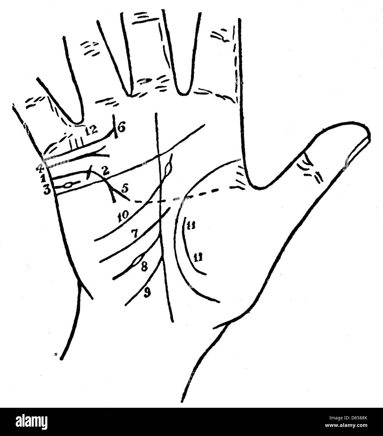 A public domain image illustrating the practice of palmistry, showing a ...
