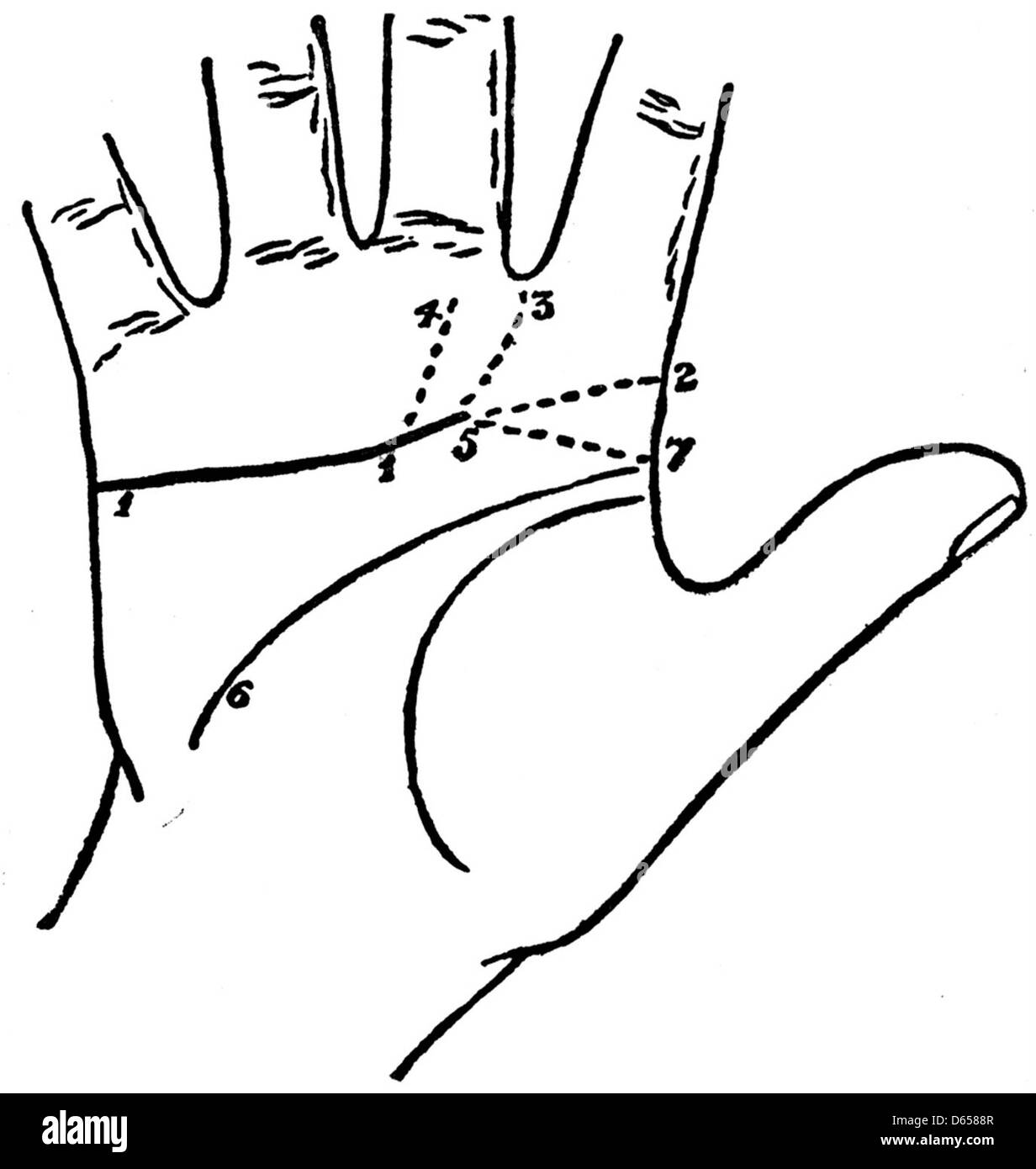 An illustration from the early 20th century showing a palmistry chart ...