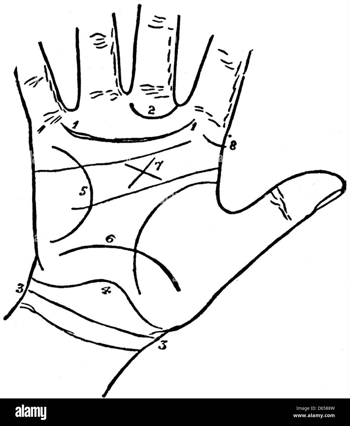 Palmistry lines hi-res stock photography and images - Alamy