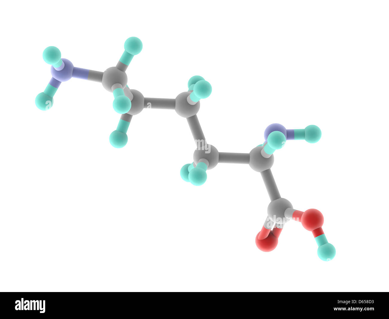 Lysine hi-res stock photography and images - Alamy