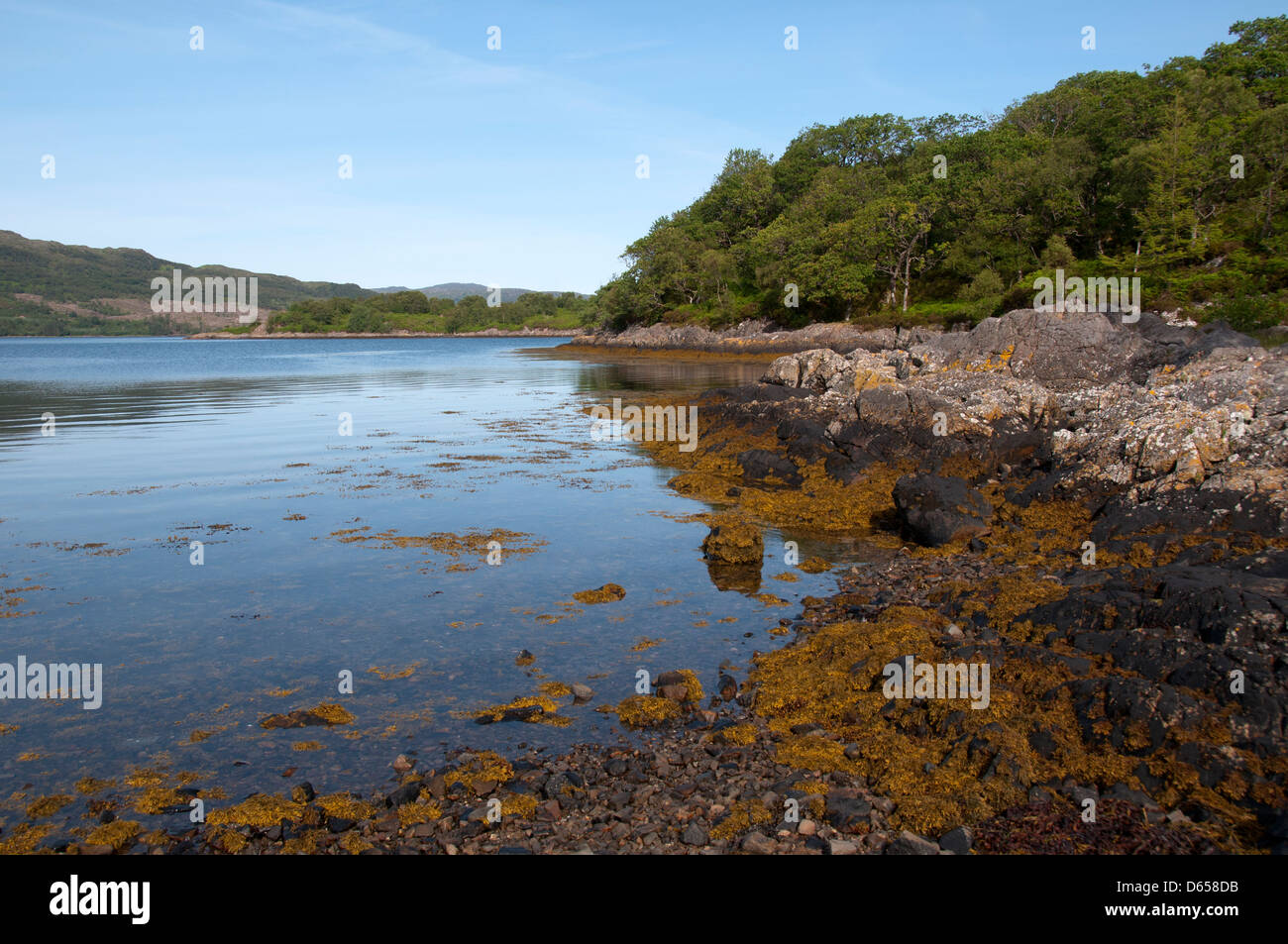Morvern hills hi-res stock photography and images - Alamy