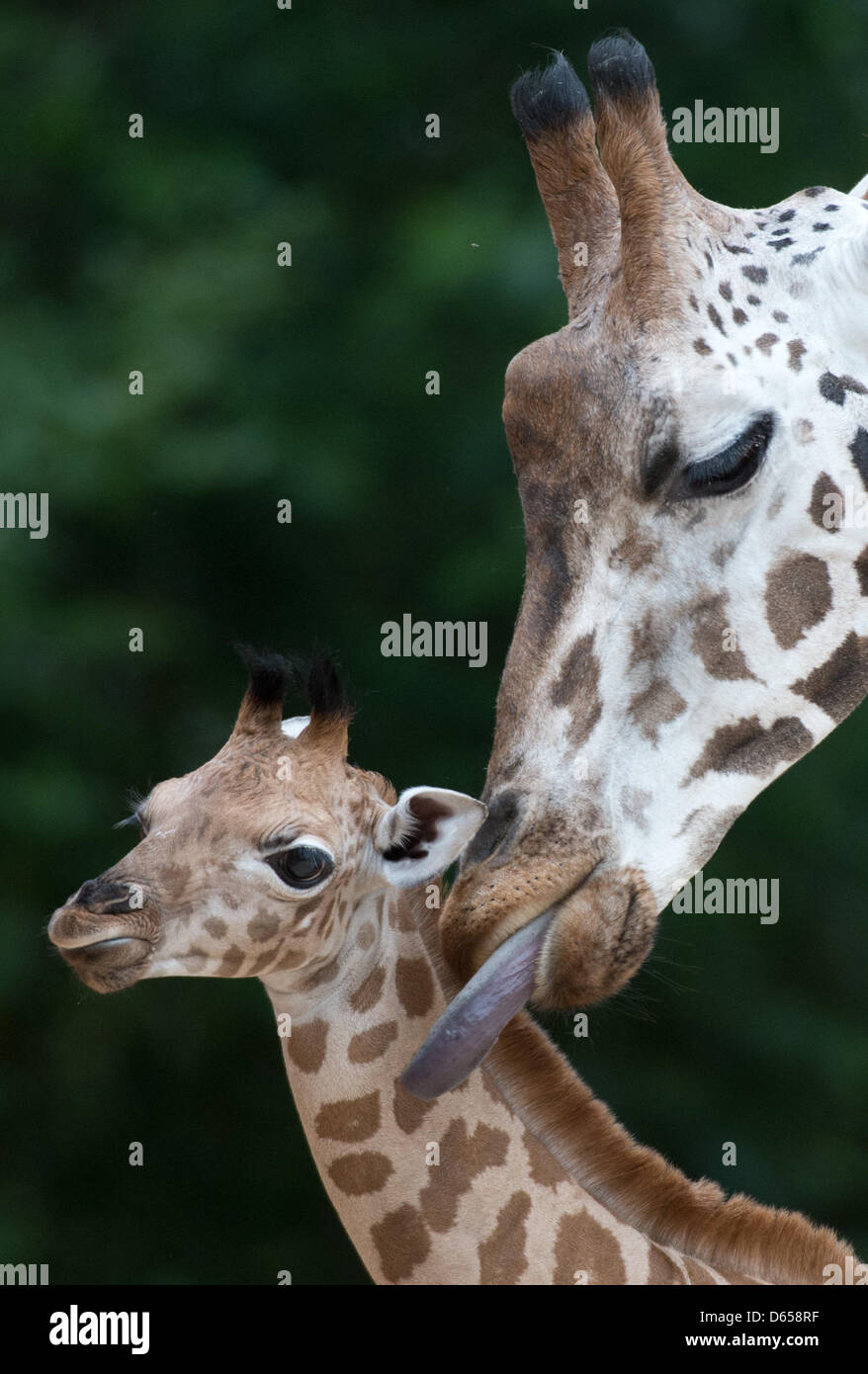 100 days old baby hi-res stock photography and images - Alamy