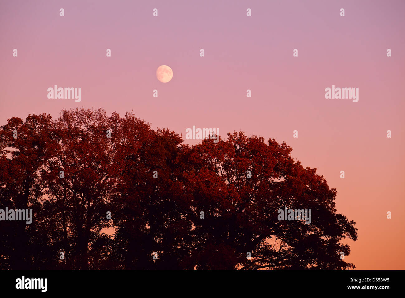 Moon over sunset hi-res stock photography and images - Alamy