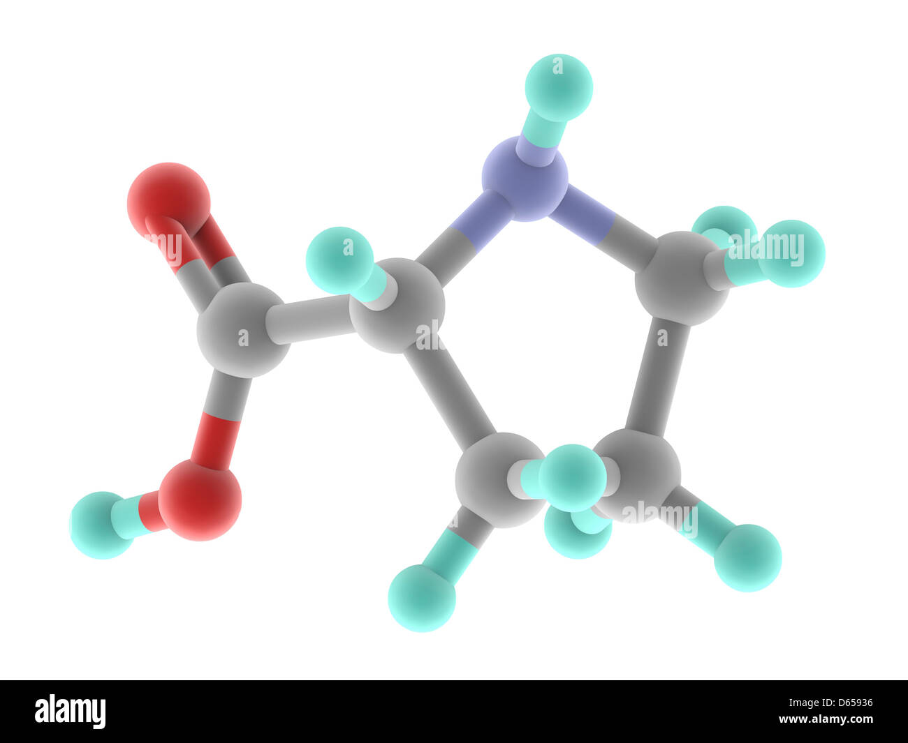 Proline hi-res stock photography and images - Alamy