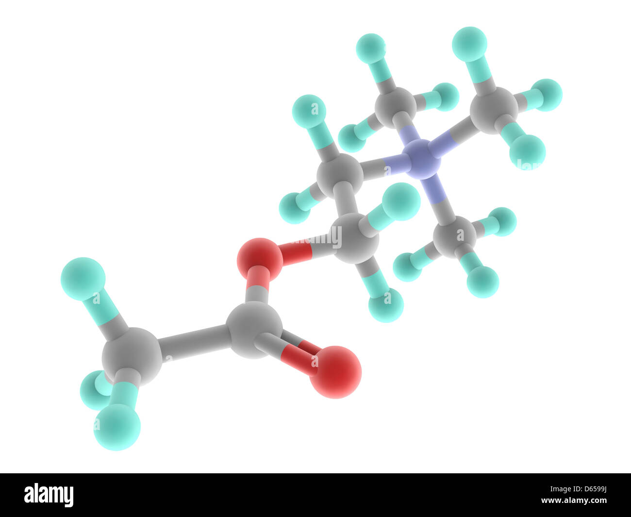 Acetylcholine hi-res stock photography and images - Alamy