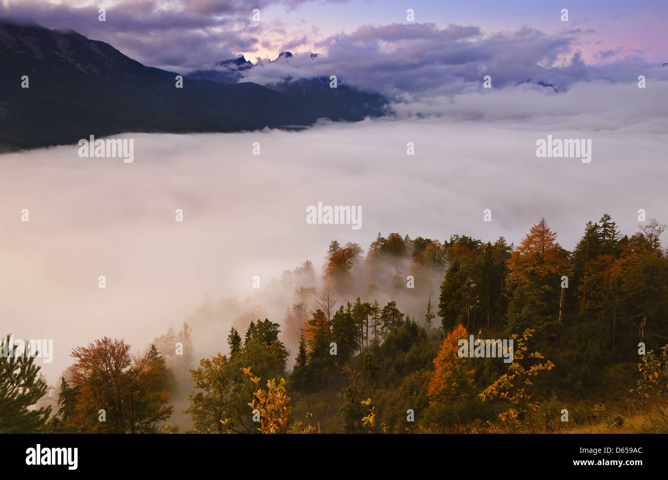 fog over forest in mountains Stock Photo - Alamy