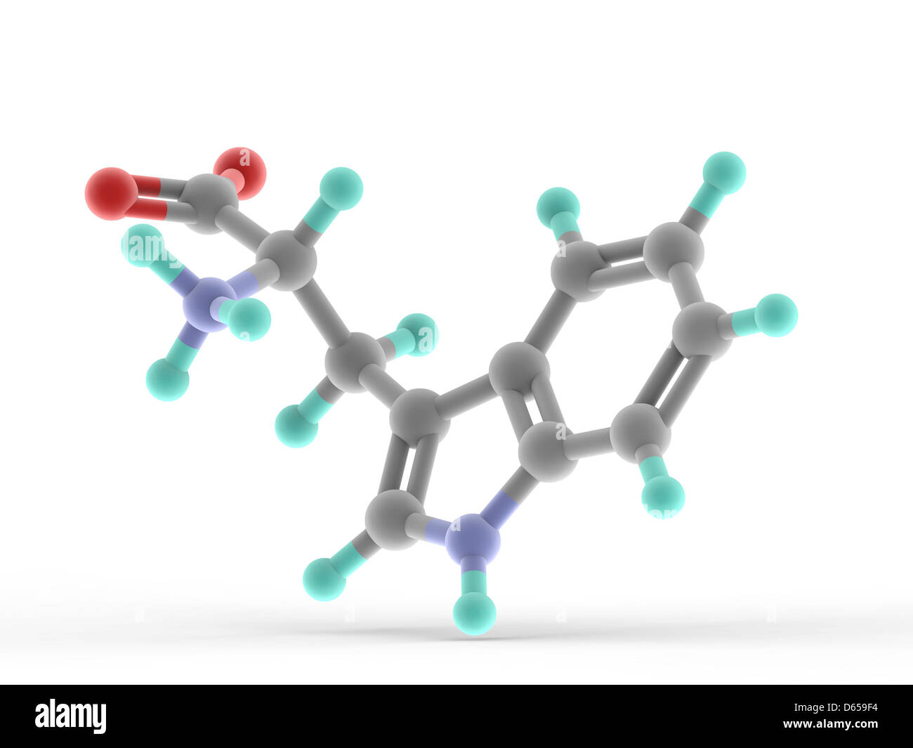 Tryptophan amino acid hi-res stock photography and images - Alamy