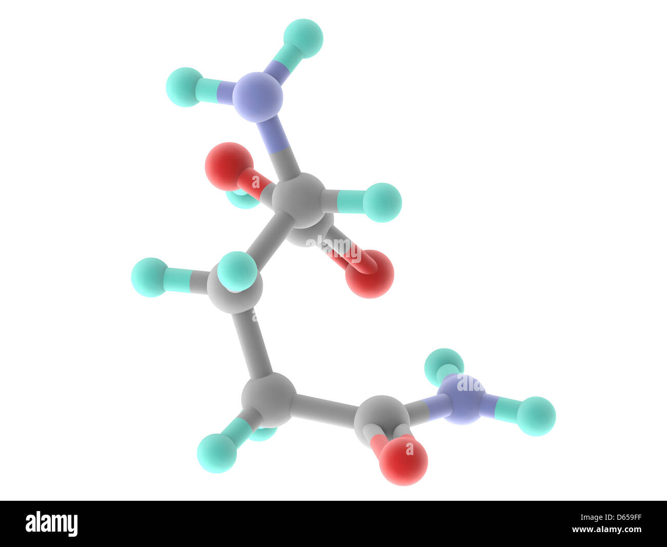 Molecular model glutamine Cut Out Stock Images & Pictures - Alamy