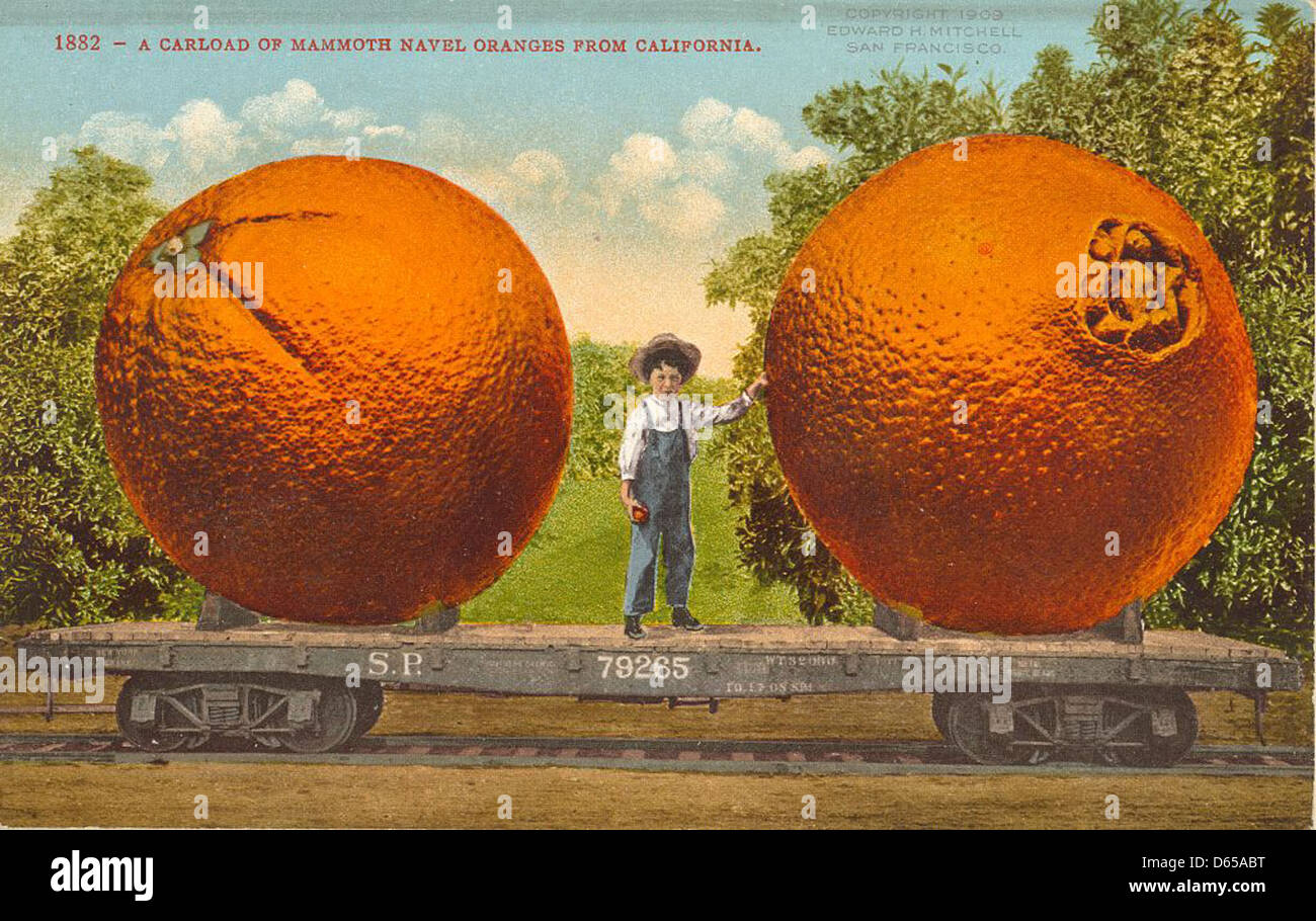 This vintage postcard depicts a giant orange, serving as a quirky ...