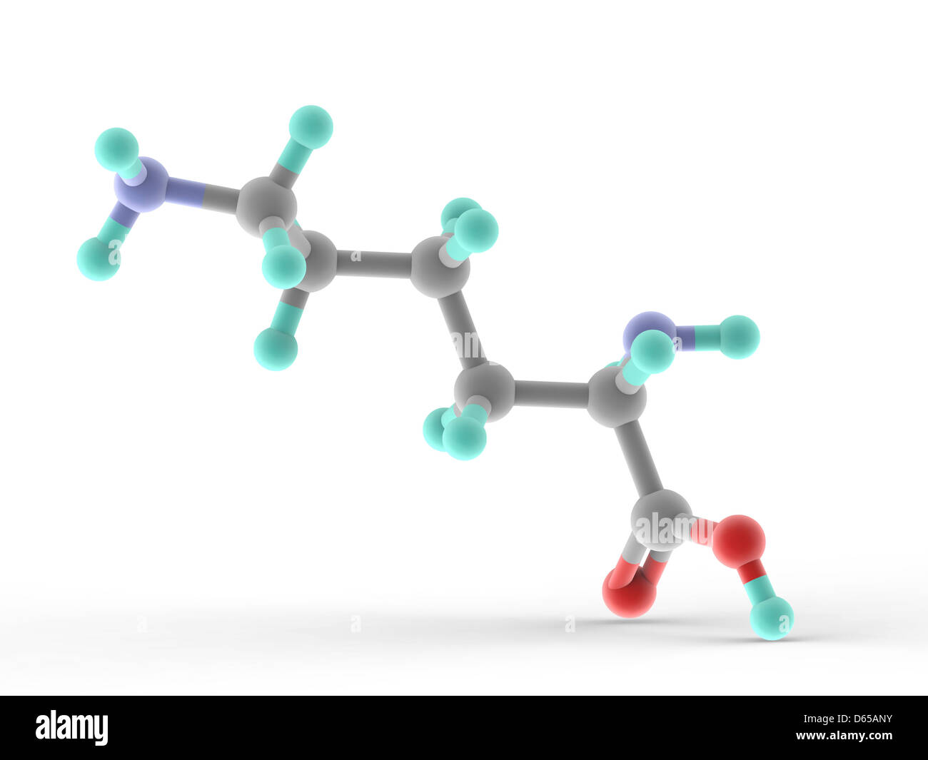 Lysine amino acid molecule hi-res stock photography and images - Alamy