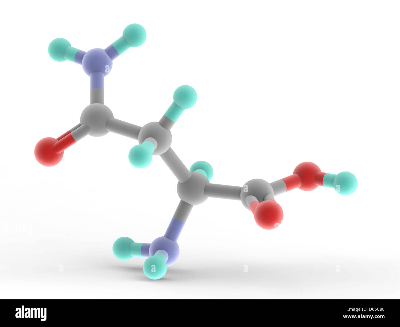 Asparagine amino acid molecule hi-res stock photography and images - Alamy