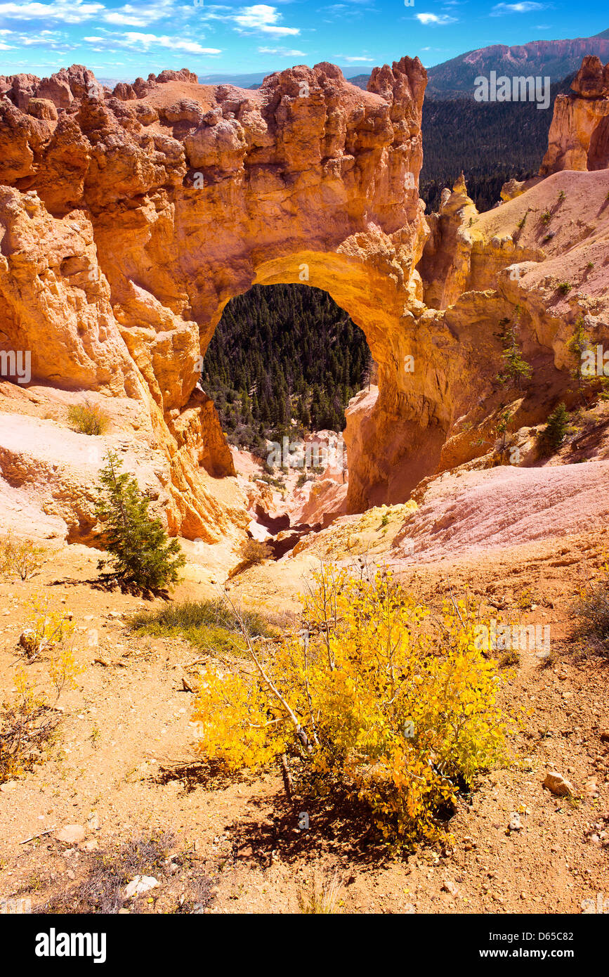Natural Stone Bridge in Bryce Canyon, southwest, Utah, USA Stock Photo ...