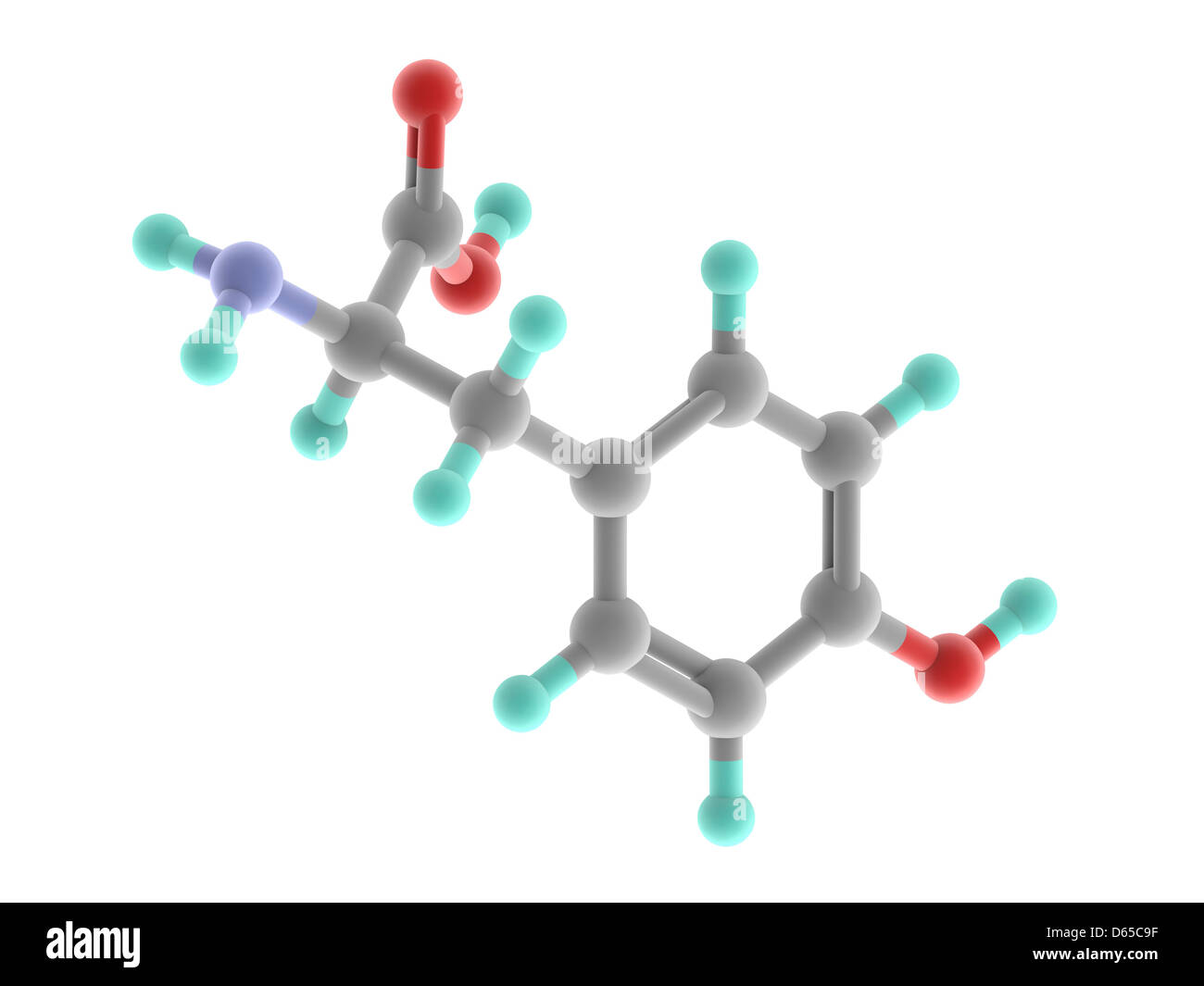 Tyrosine hi-res stock photography and images - Alamy