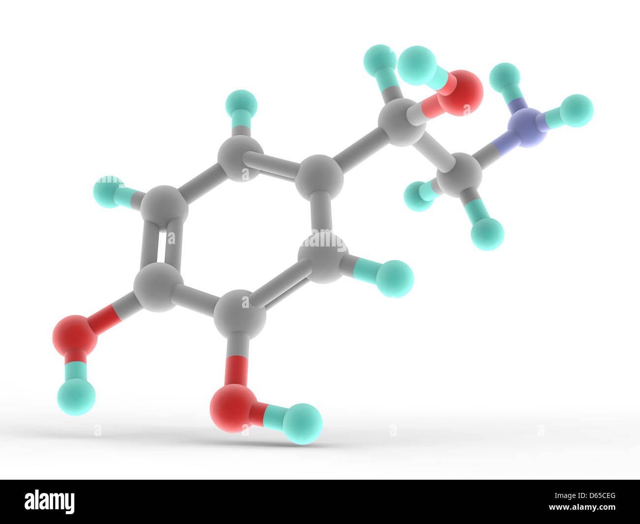 Norepinephrine hi-res stock photography and images - Alamy