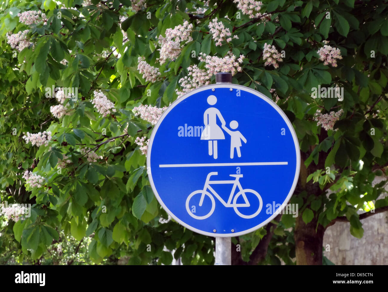 A traffic sign shows the pictogram for pedestrians and cyclists in ...