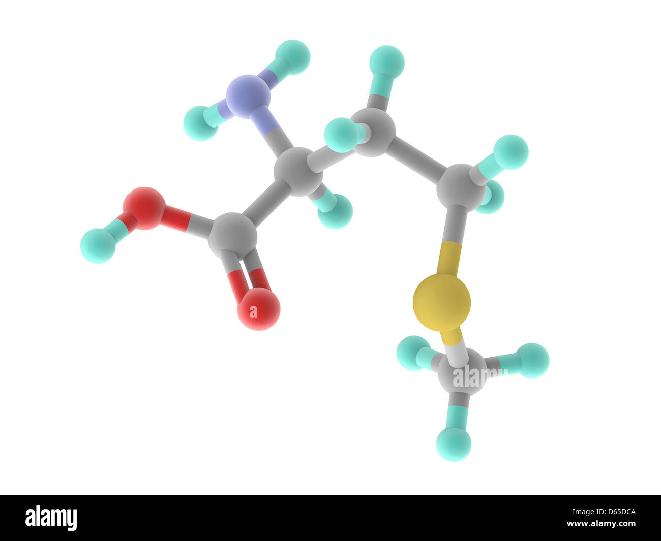 Methionine hi-res stock photography and images - Alamy