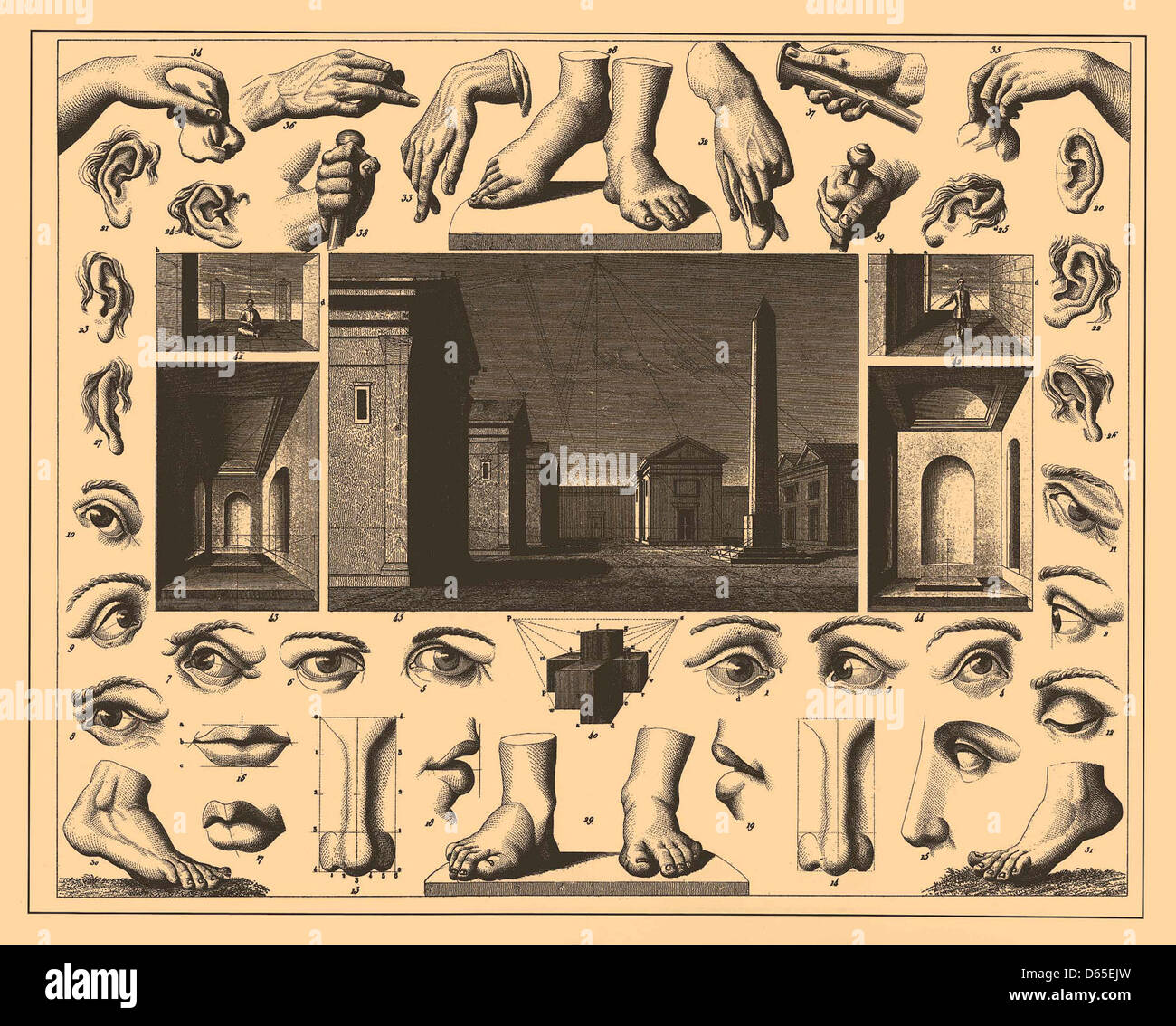 Human skull diagram hi-res stock photography and images - Alamy