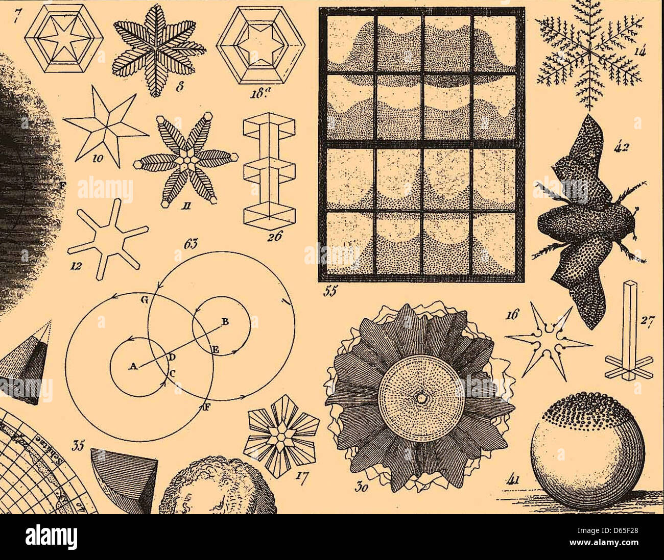 A close-up view of an illustration from the 1918 edition of the ...