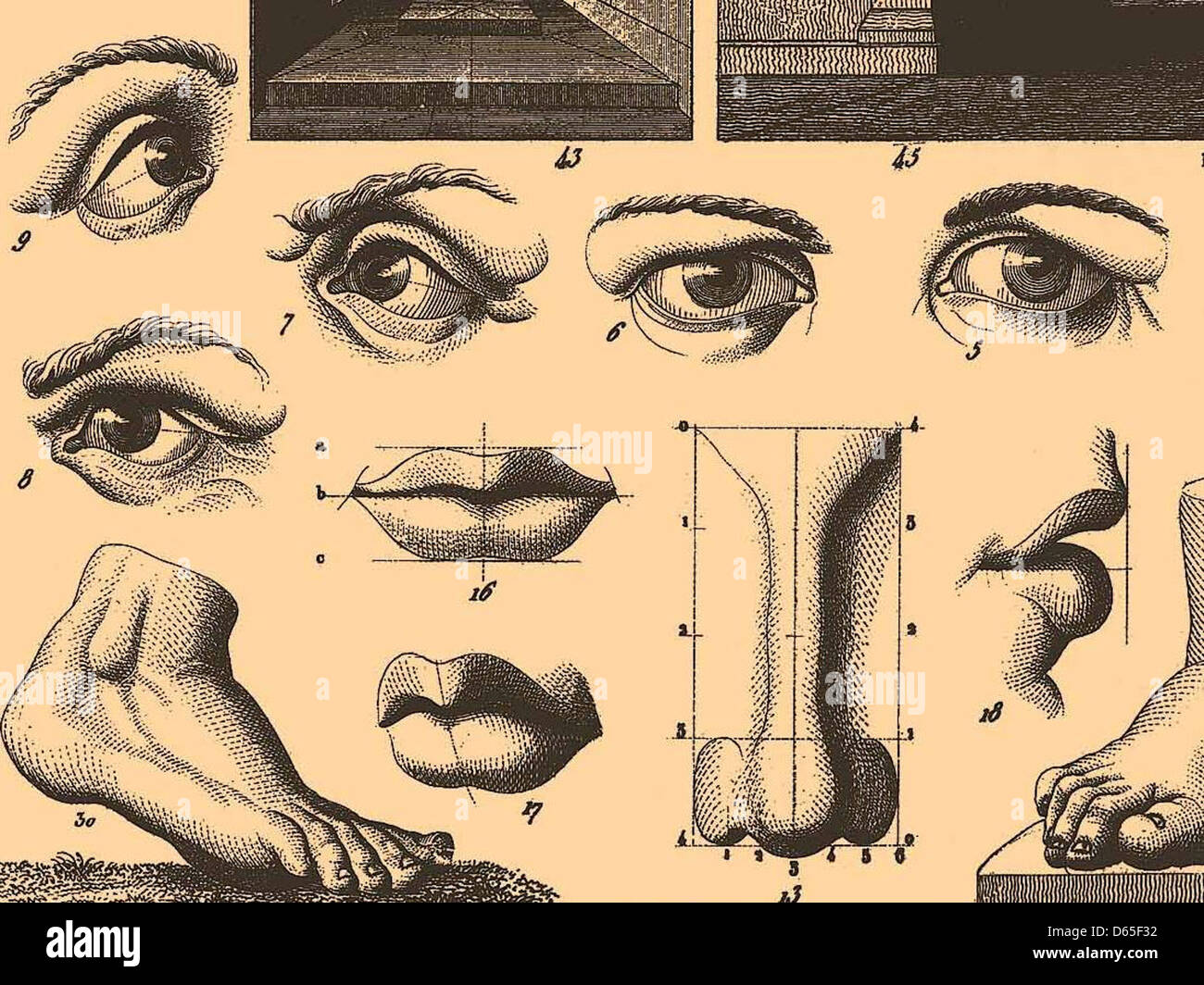 Closeup view of an illustration from the 1918 edition of the Brockhaus ...