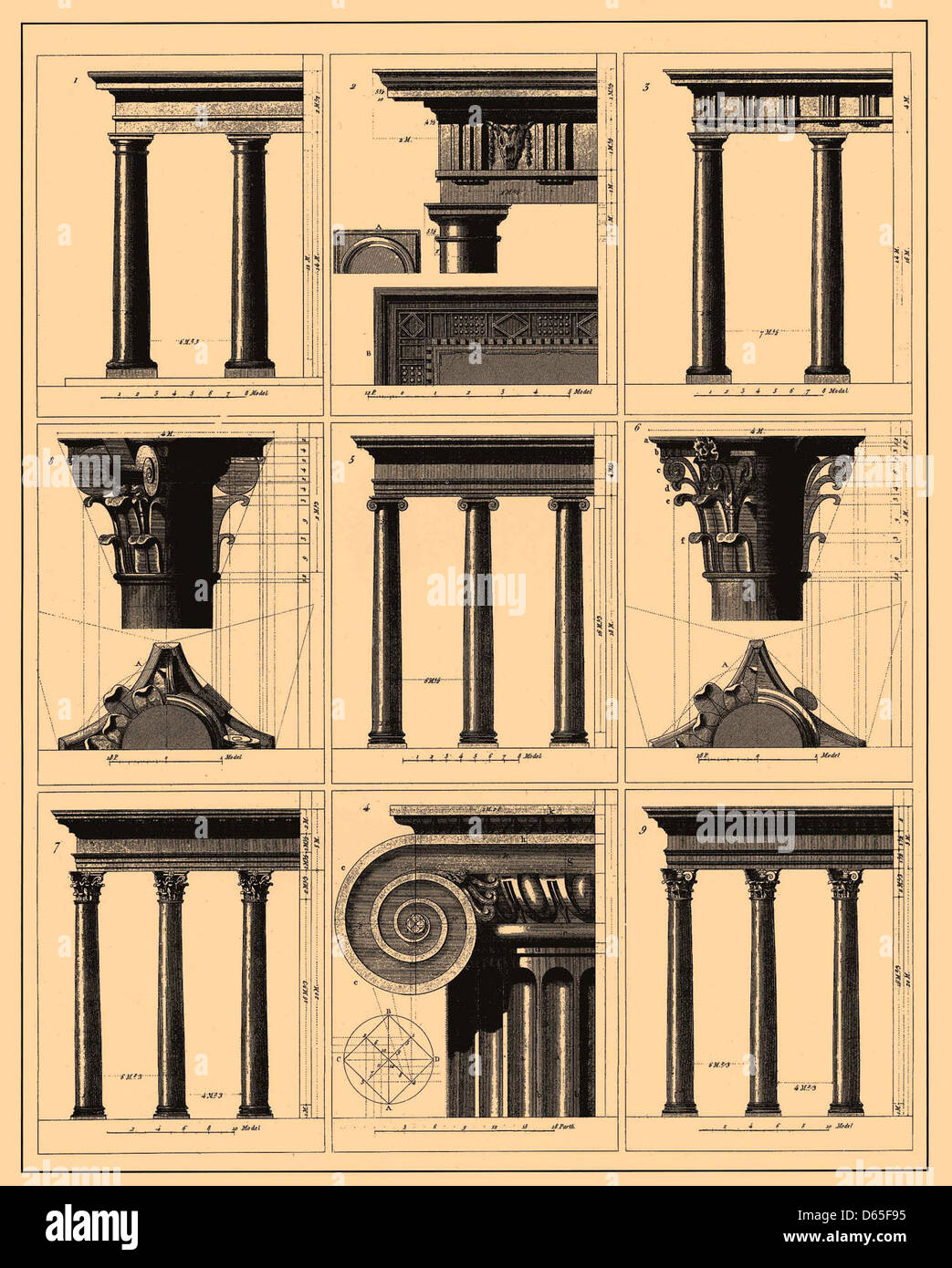 Encyclopedic illustration hi-res stock photography and images - Alamy