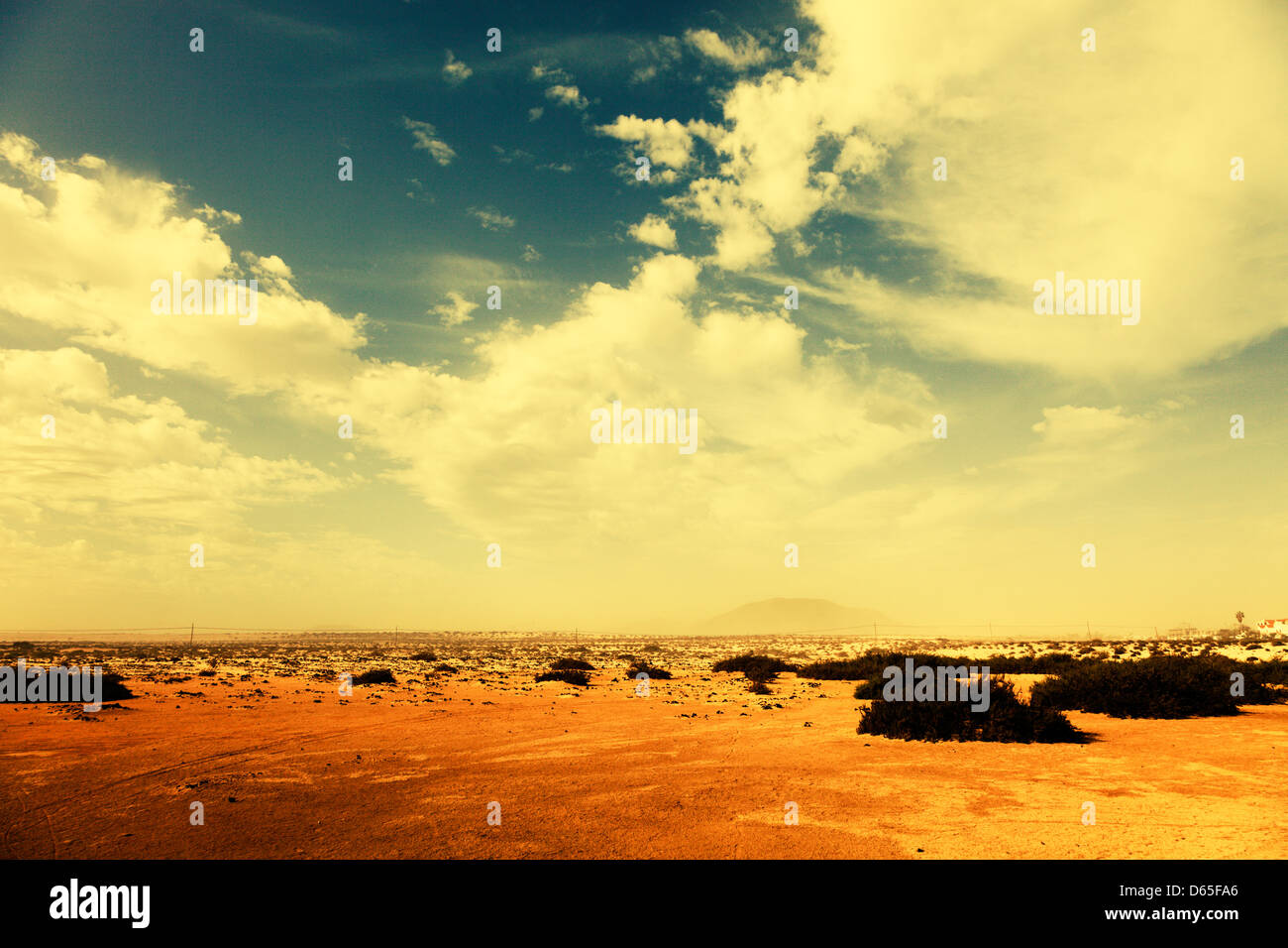 Evening in the stone desert Stock Photo - Alamy