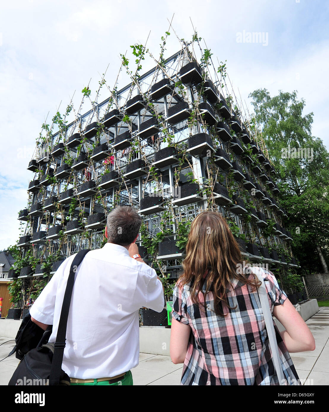 Two visitors look at the Plane-Tree-Cube at the regional horticultural ...